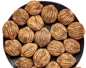 Home - Fresh Walnuts